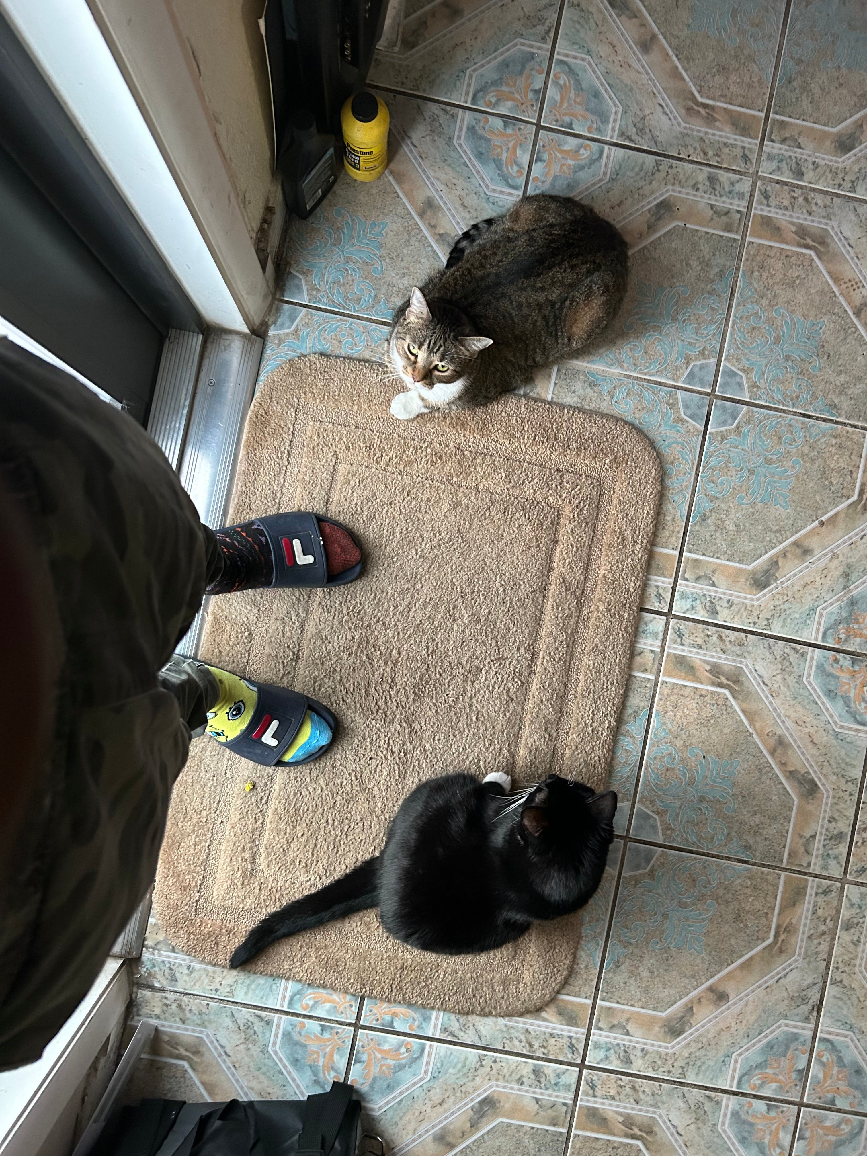 Adventures of Klowee & Aura – Everything & Mo Shop